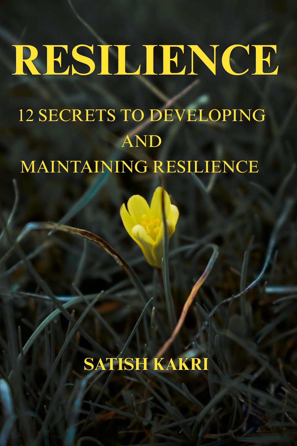 » Positive Reinforcement Strategies to Foster Resilience in Adults with ...